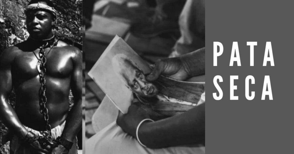 Pata Seca: The Unsung Hero of Slave Liberation - neonjs